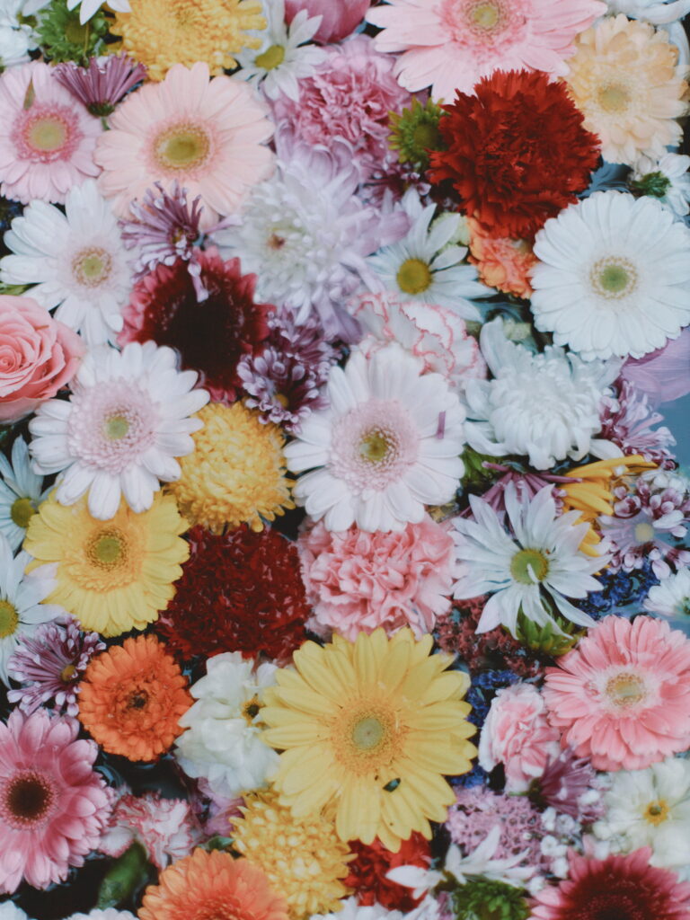 Nikkor-S Auto 55mm F1.2 - FOTONE フォトン - カメラ、レンズのレビューと写真 -FOTONE フォトン ...