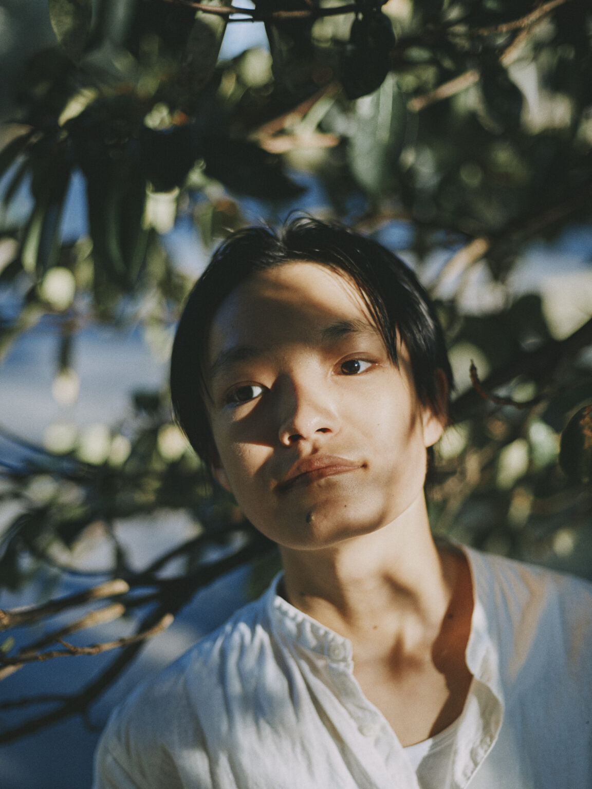 Nikkor 50mmの系譜 - FOTONE フォトン - カメラ、レンズのレビューと写真 -FOTONE フォトン – カメラ、レンズの ...